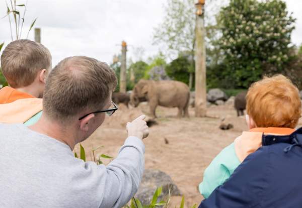 Chester Zoo's huge new 'African savannah' opens