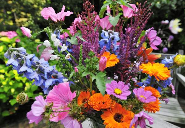 Manchester Flower Festival Zone Displays