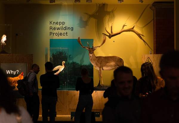 February half term in Manchester