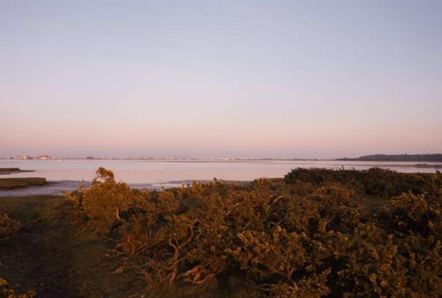 Christchurch Harbour