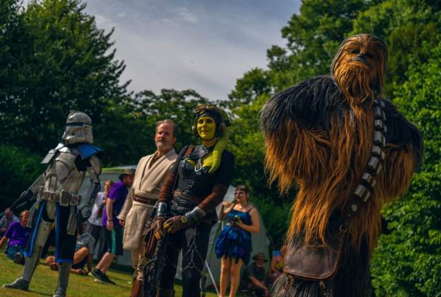 fantasy forest event