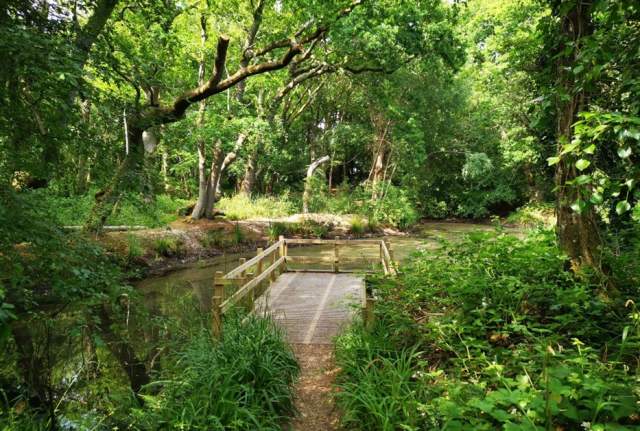 Steamer Point Nature Reserve