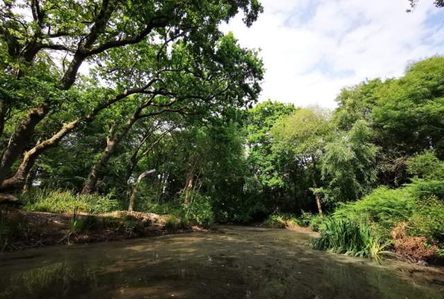Steamer Point Nature Reserve