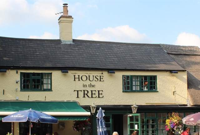 the trees pub
