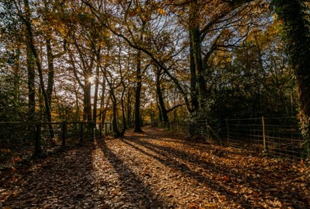 River Hamble Country Park
