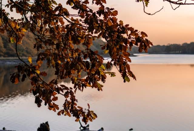 River Hamble Country Park