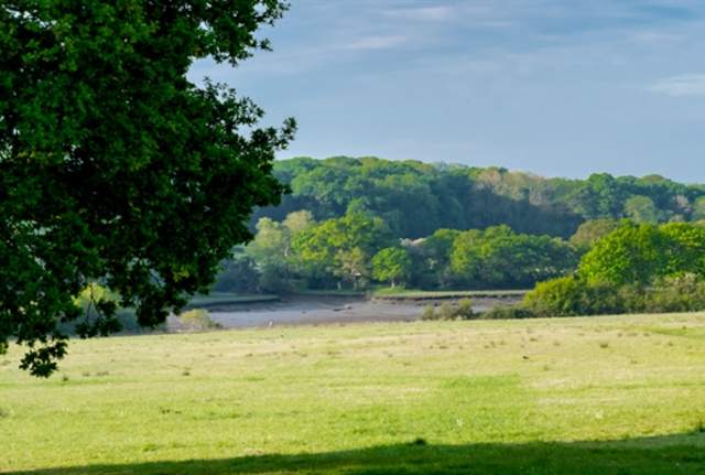 River Hamble Country Park