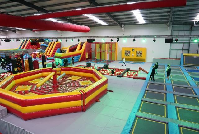 red kangaroo reading