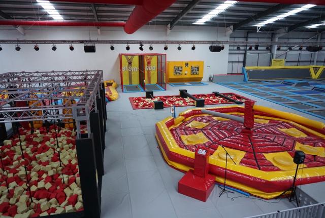 red kangaroo reading