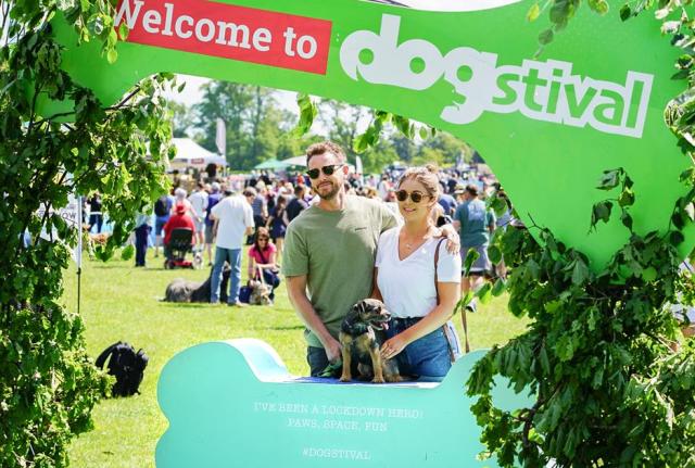 dog stival