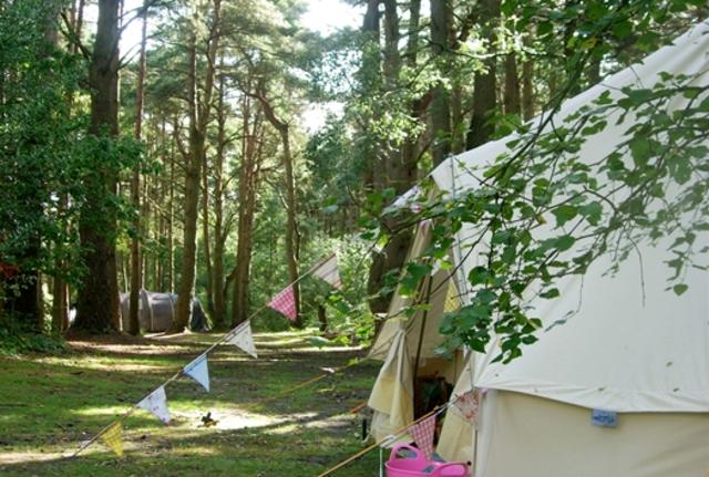 primrose fields camping wareham