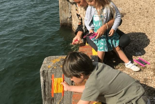 crabbing competition