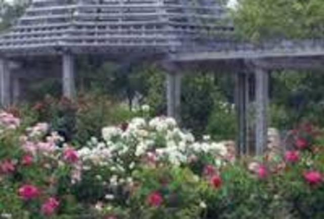 Baton Rouge Gardens | Fasci Garden