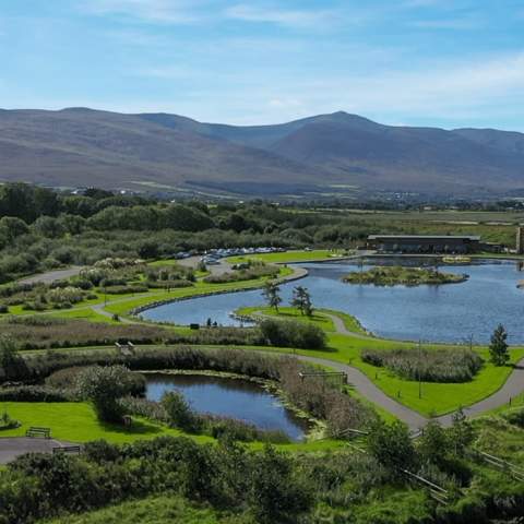 What's on - Festivals & Events | Discover Kerry