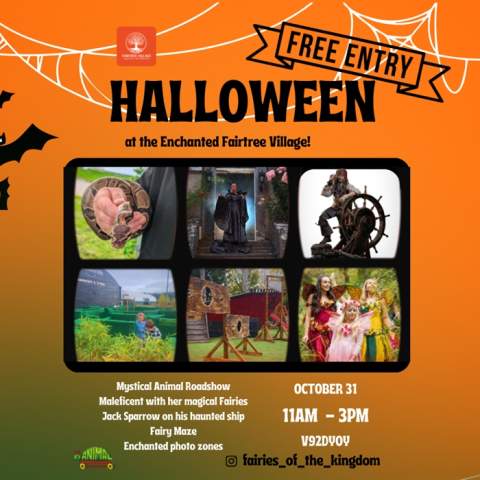 What's on - Festivals & Events | Discover Kerry