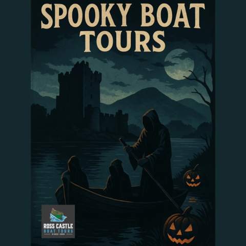 What's on - Festivals & Events | Discover Kerry