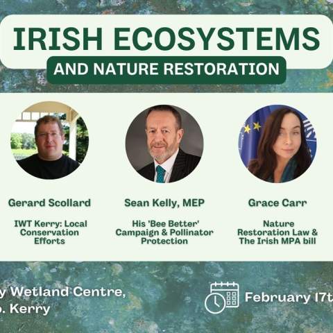 What it means to be a STEMinist