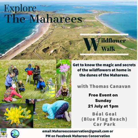 Rainy Day Fun - Activities for Kids | Discover Kerry