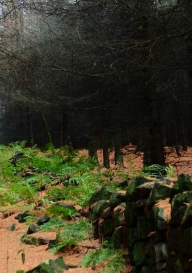 Explore Oldham | Visit Manchester