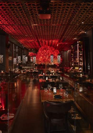 Celebrate Christmas in Manchester | Visit Manchester