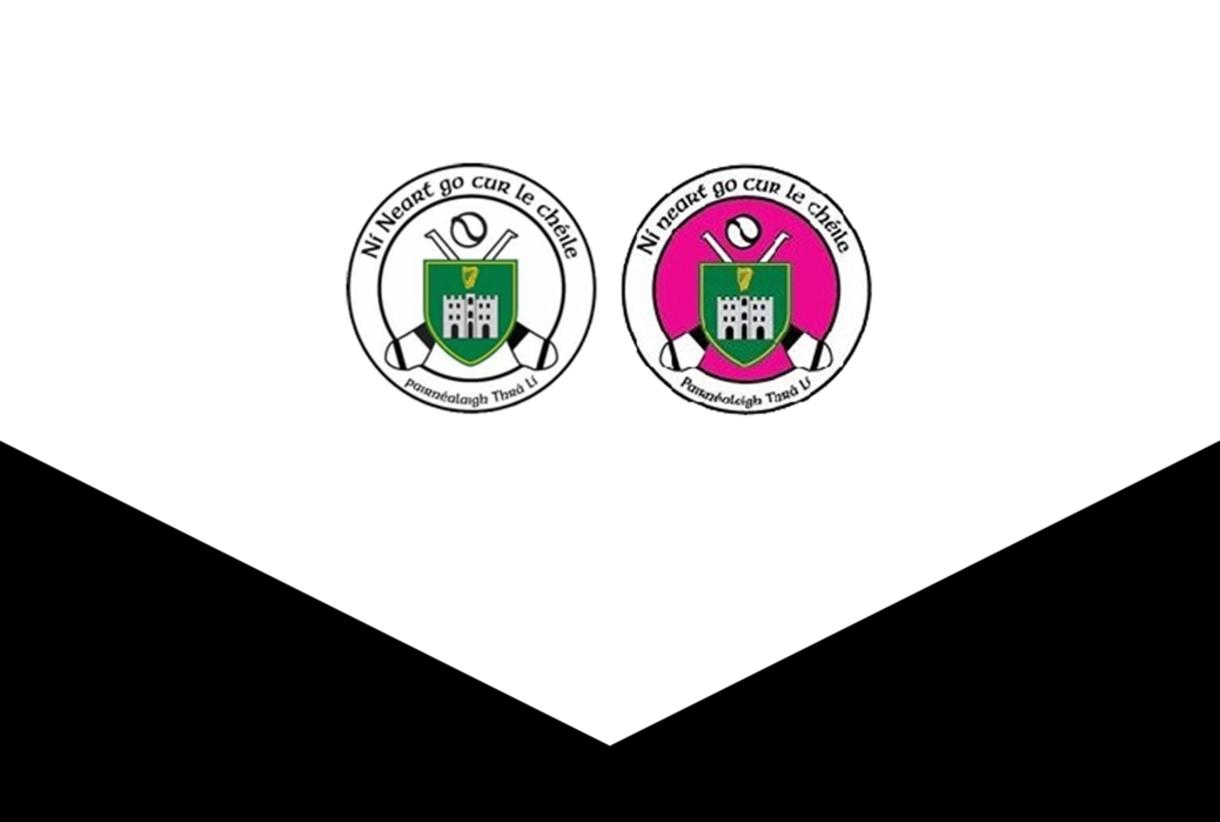 Camogie Crest Logo