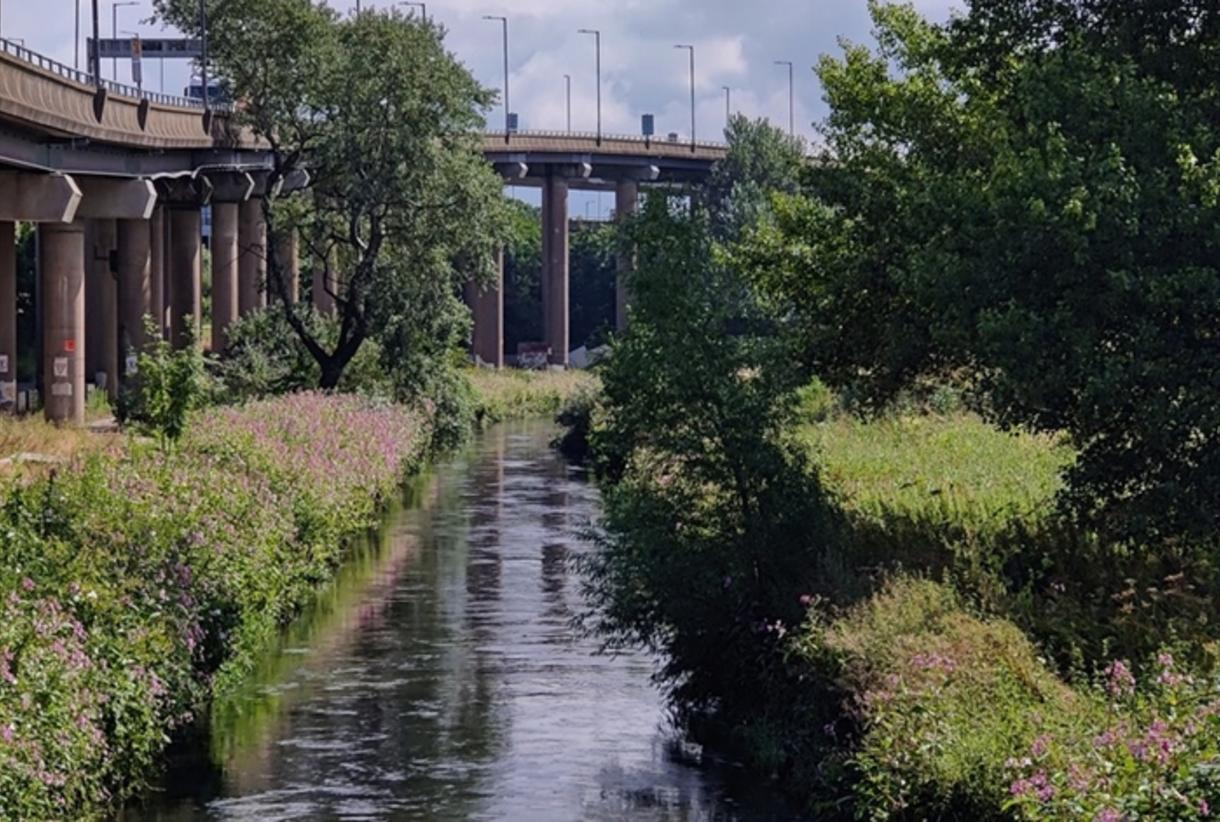 spaghetti junction designer