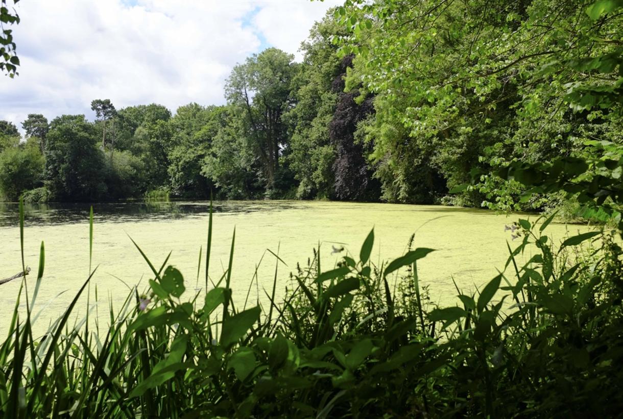 Pendeford Mill Nature Reserve