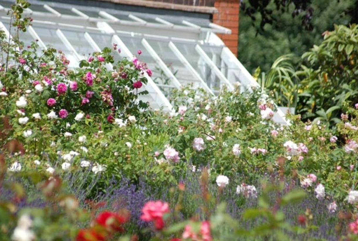 greenfield winterbourne