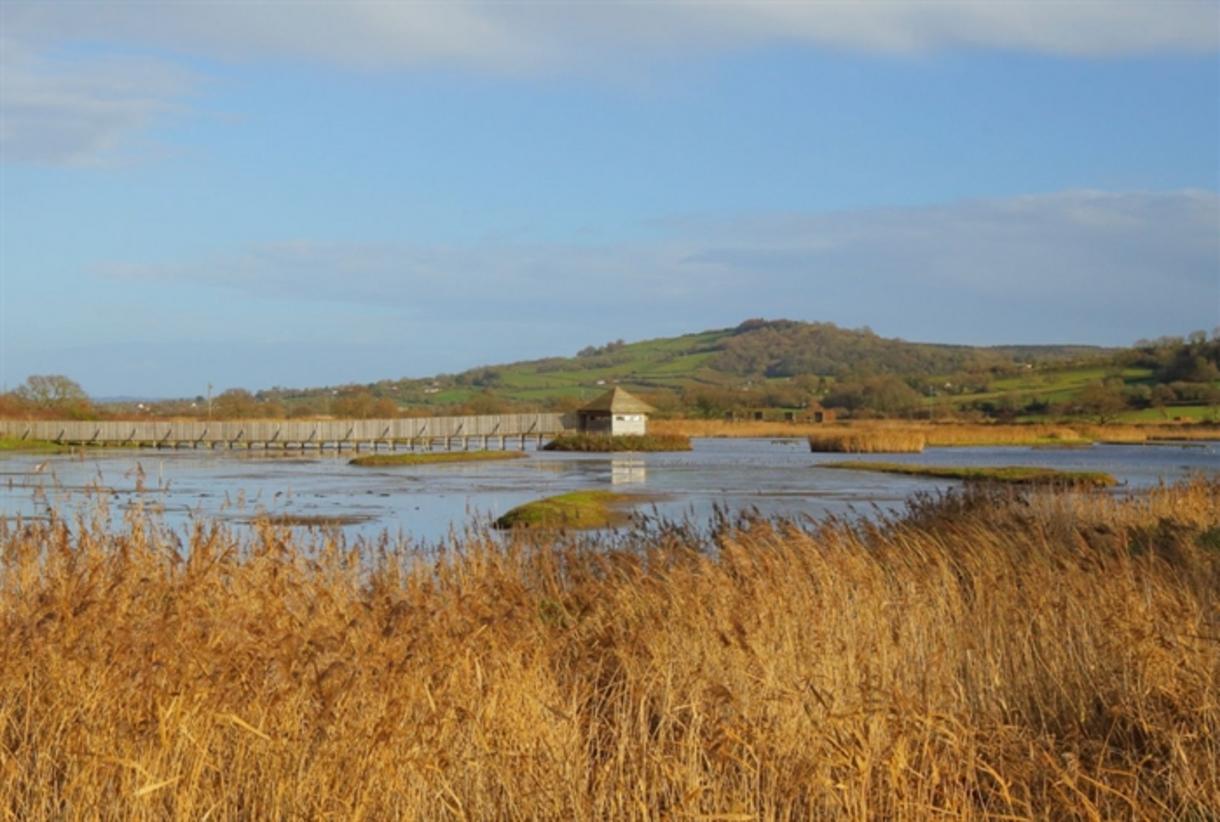 wetlands devon