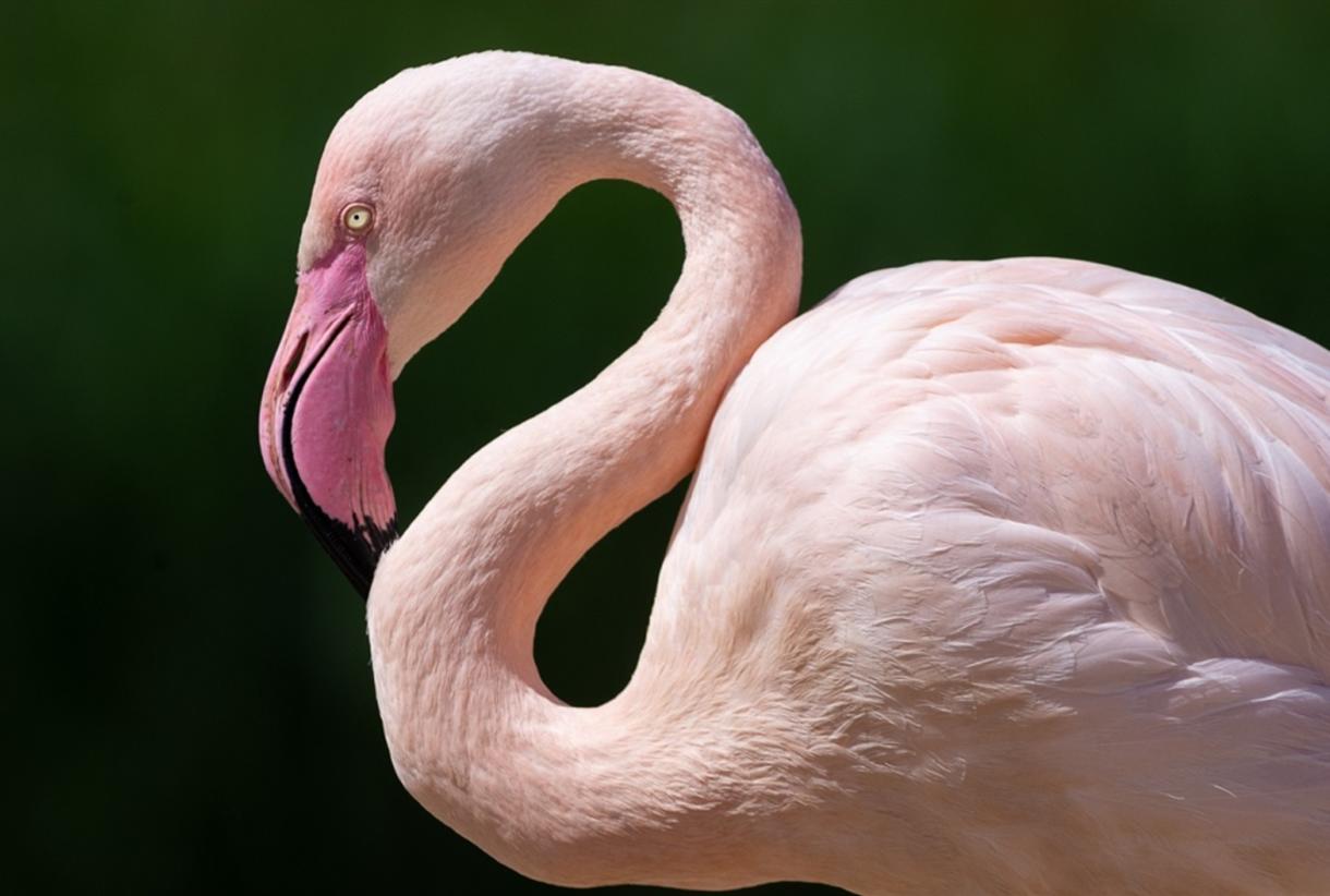 generation wild slimbridge
