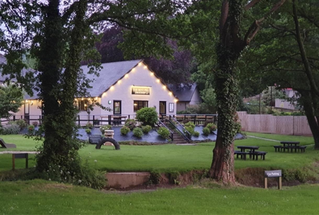 bent peg berrynarbor