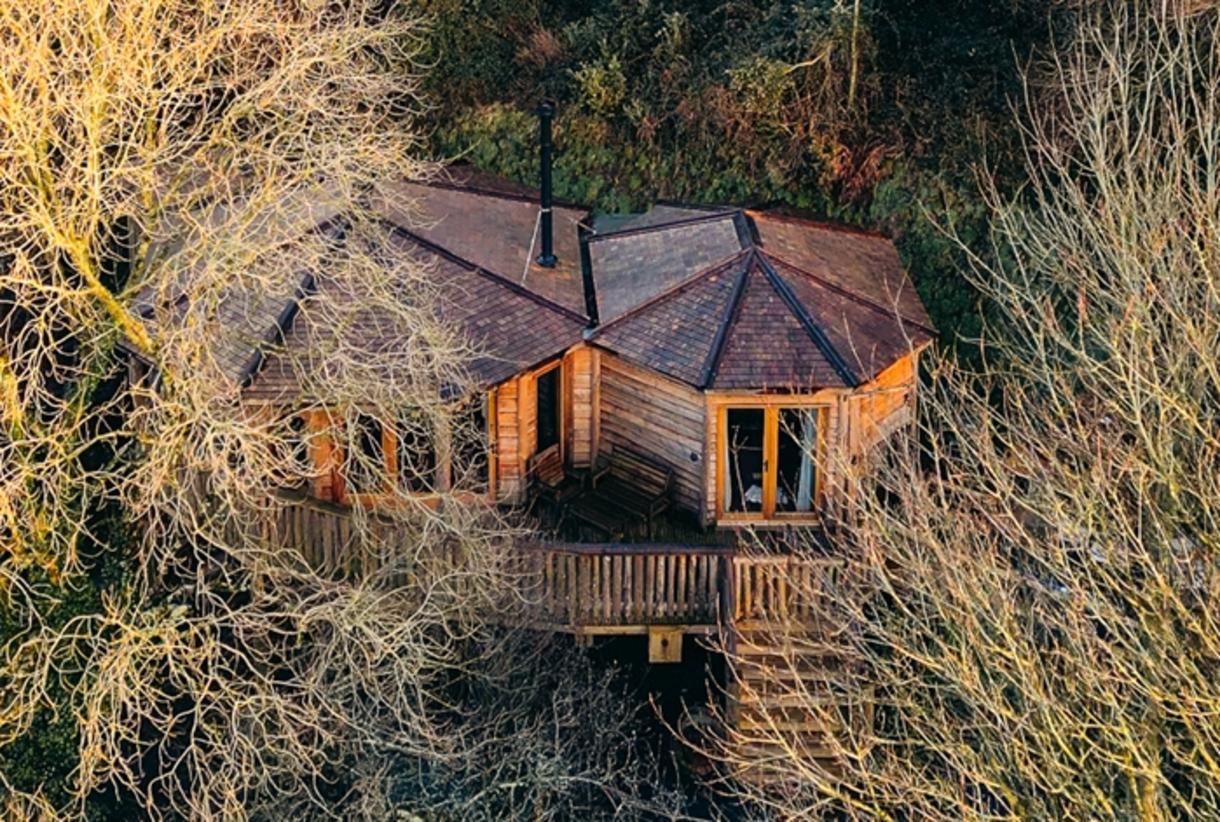 yggdrasil treehouse devon