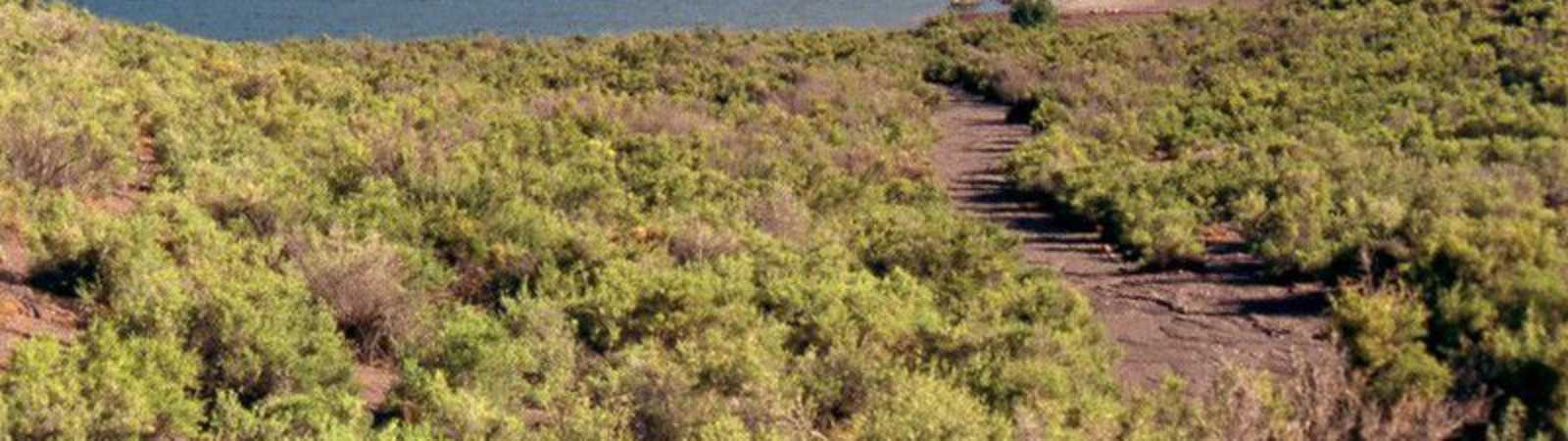 Piute State Park | Antimony, UT 84712