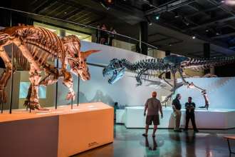 Bargain Shopping Harwin Drive | Harwin Central Market