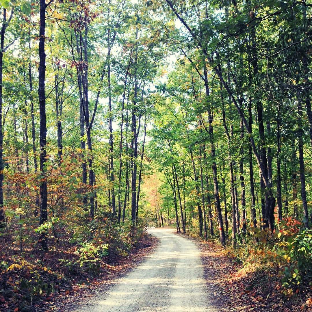 Alabama Fall Foliage Map | North Alabama Fall Color Trail
