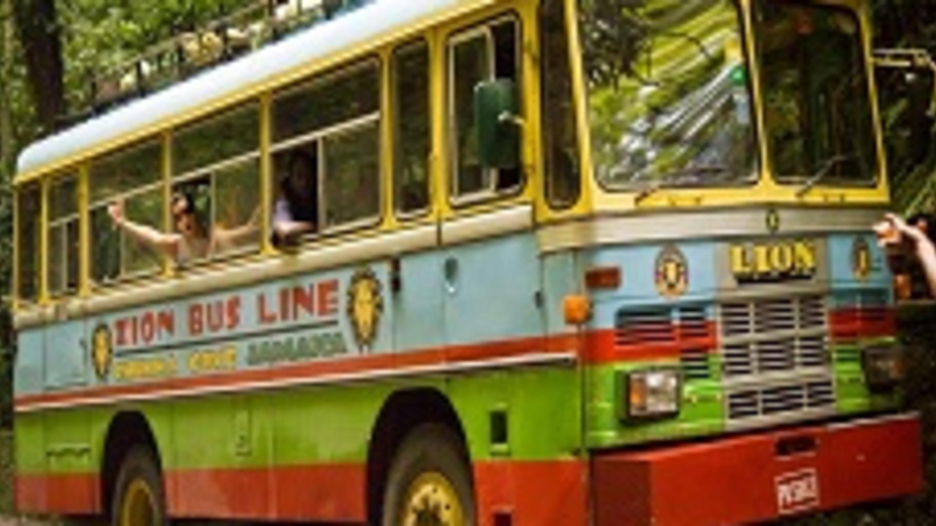 Chukka's Reggae & Culture on Zion Bus Line