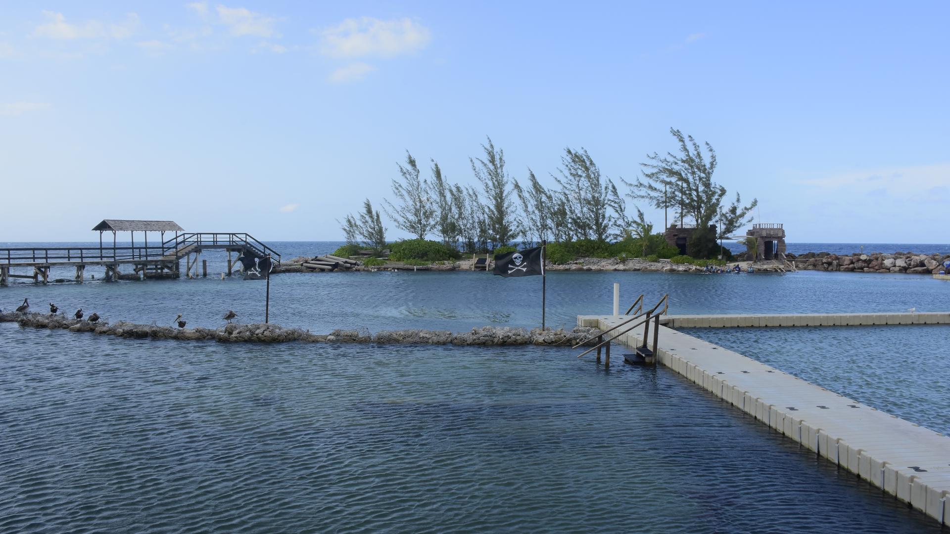 Dolphin Cove Limited