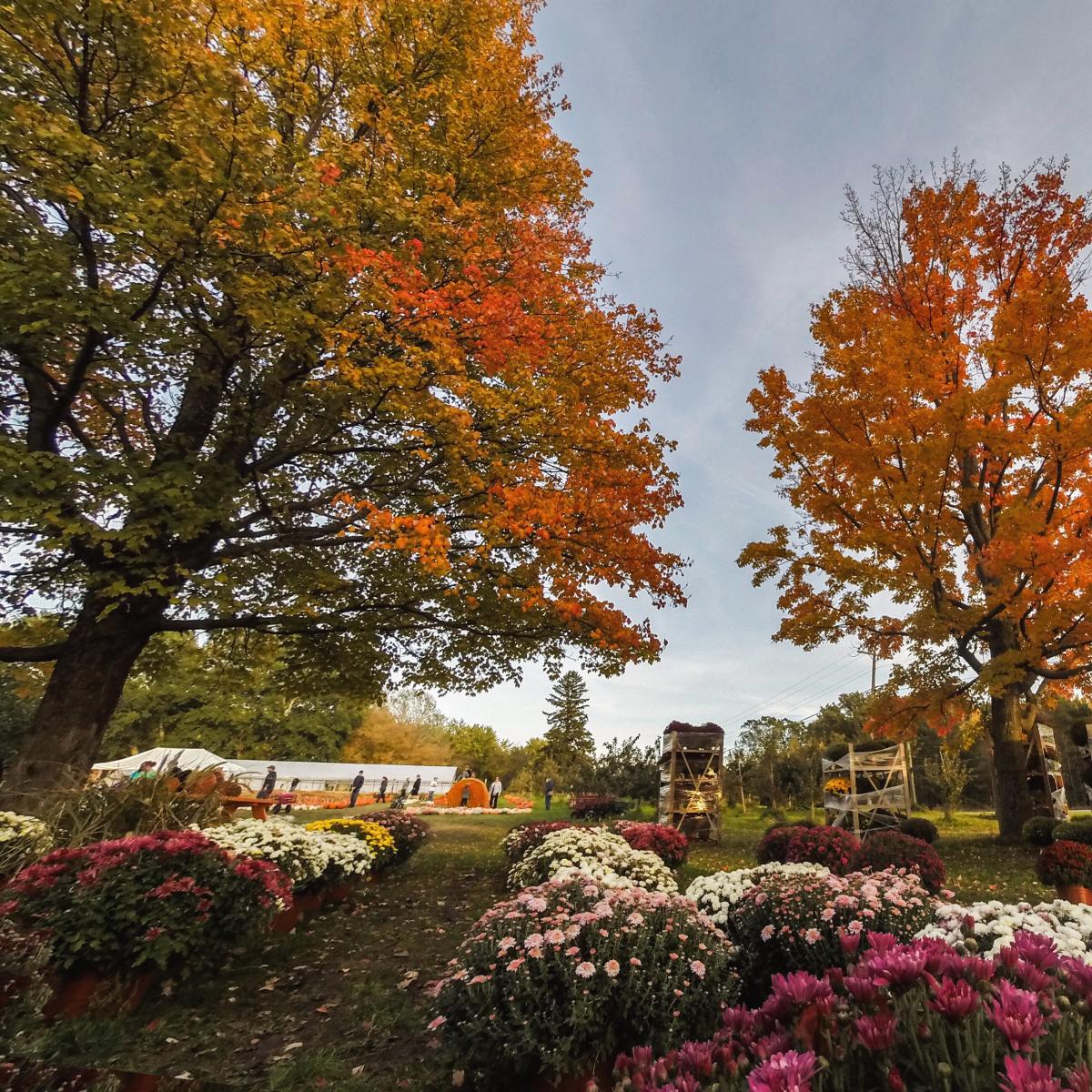 5 Scenic Places in Rochester, MN