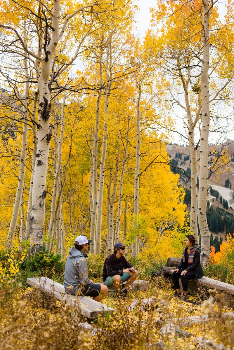 Salt Lake's Fall Foliage Preview