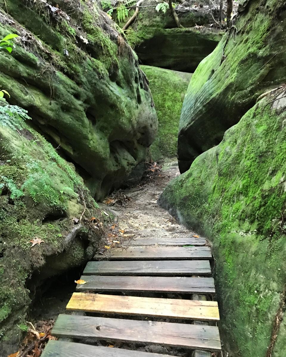 Carley’s Adventures: Dismals Canyon | Visit North Alabama