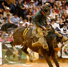 Amarillo Heritage Traveler