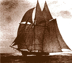 The Wanderer | Golden Isles, Georgia