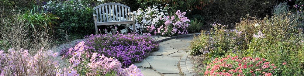 3 Gardens to Visit During the National Cherry Blossom Festival ...