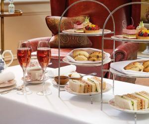 activity bar coventry