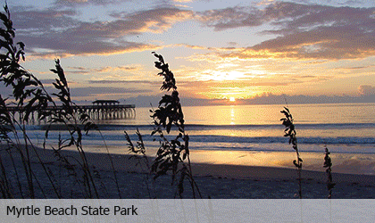 Myrtle Beach Film, Music, Movies, and TV