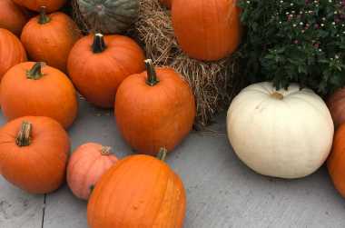 Things to Do in the Fall in Rochester, MN