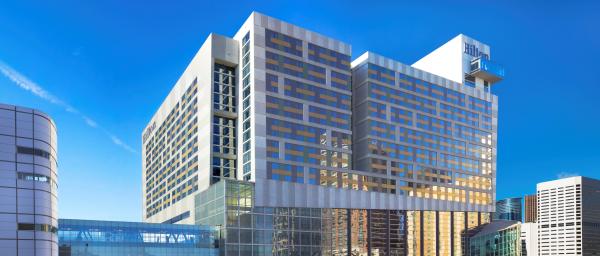 Day for Night: A Day to Night Guide