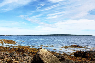Moose Point State Park | Searsport, ME 04974