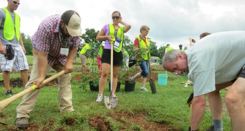 Asheville’s Ultimate Team Building Adventures | Explore Asheville