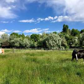 Wheeler Historic Farm